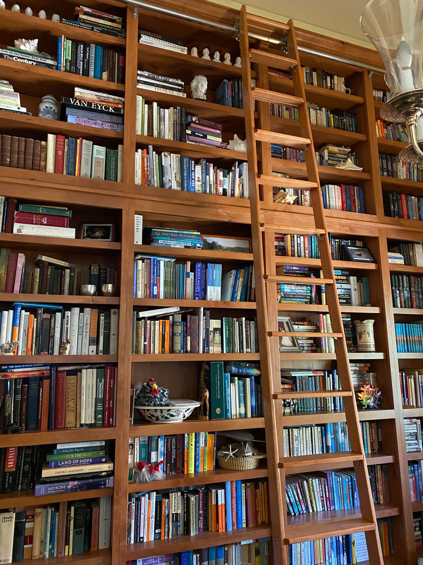 Nana's Book Library